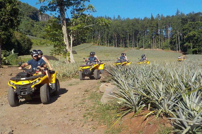 Small Quad Tour 2h30 Quad excursion in Moorea (single or two-seater) - Why This Tour Stands Out