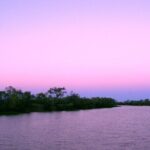 Smithys Sunset Cruise - Who Will Love This Cruise?