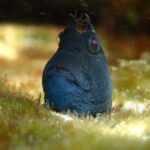Snorkeling Adventure for Kids with Private Guide In Sydney - Practical Details and Tips