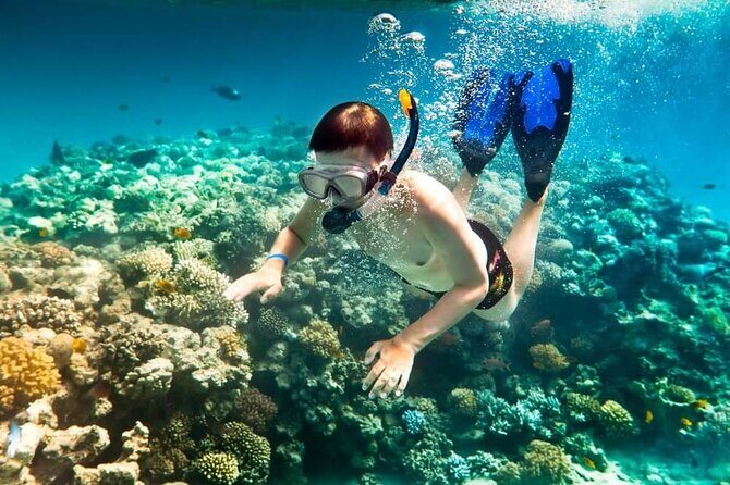 Snorkeling And Fishing To The South Phu Quoc - Authentic Experiences and Genuine Value