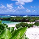 Snorkeling at Top Rock with Yumi Tours - Practical Tips for Your Booking Experience