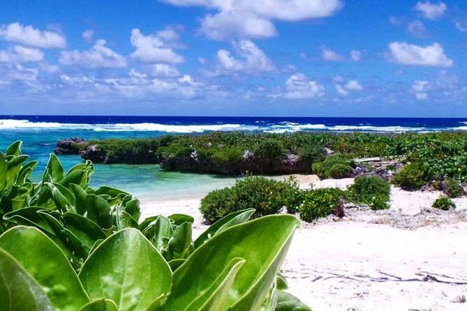 Snorkeling at Top Rock with Yumi Tours - Practical Tips for Your Booking Experience