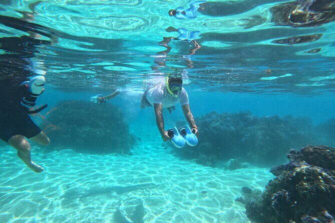 Snorkeling EN Underwater Scooter in Tahiti - Who This Tour Is Best For