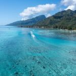 Snorkeling excursion and encounter with marine fauna in Moorea - Frequently Asked Questions
