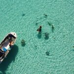 Snorkeling excursion, discovery of the lagoon, small group. - Who Is This Tour Best For?