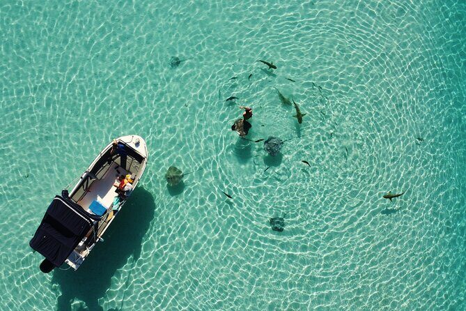 Snorkeling excursion, discovery of the lagoon, small group. - Who Is This Tour Best For?