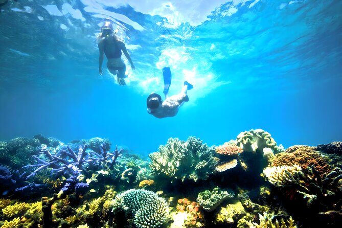 Snorkeling in Blue Lagoon Padang Bai Bali : Snorkel in the clear blue waters - Detailed Itinerary Breakdown
