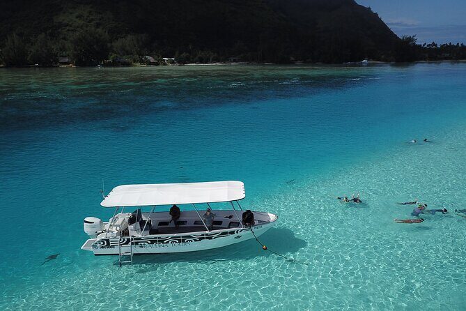 Snorkeling Lagoon Cruise and Whale Watching in Moorea - Practical Details and Tips
