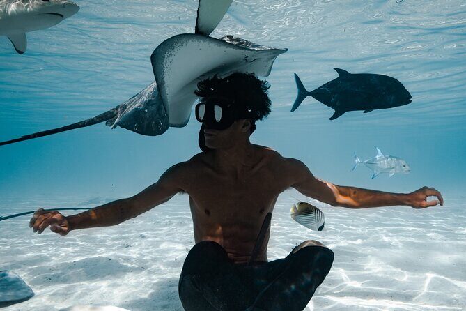 Snorkeling Safari Moorea (Half Day Tour) - Highlights of the Snorkeling Safari Moorea