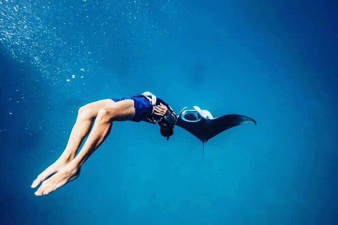 Snorkeling with Manta Rays from Maafushi - The Sum Up