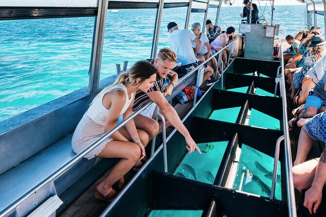 Snorkelling and Glass Bottom Boat at Green Island from Cairns - What the Reviews Tell Us
