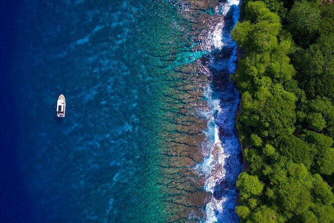 Snorkelling Christmas Island - The Experience: What to Expect