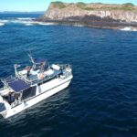 Snorkelling with Turtles at Cook Island Marine Rserve - An In-Depth Look at Snorkelling at Cook Island Marine Reserve