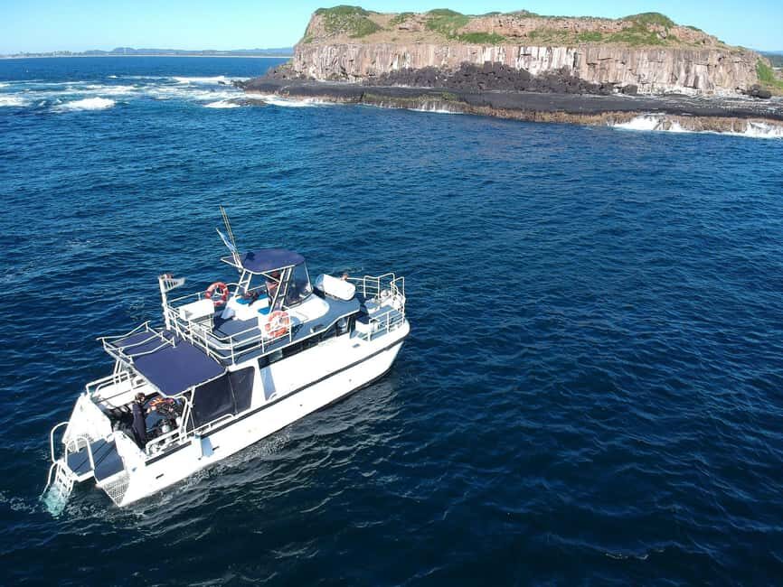 Snorkelling with Turtles at Cook Island Marine Rserve - An In-Depth Look at Snorkelling at Cook Island Marine Reserve