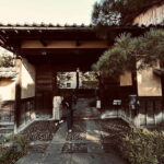 Snow Monkey, Hokusai & Sake: A Perfect Day in Nagano - Who Should Take This Tour?