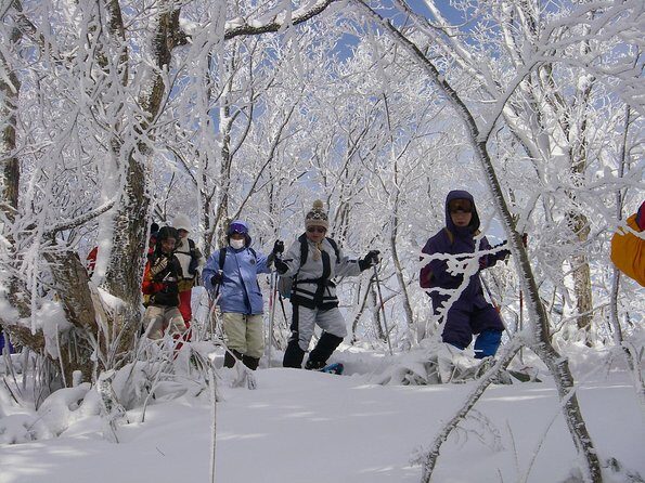 Snowshoe Tour - Who Would Enjoy This Tour?