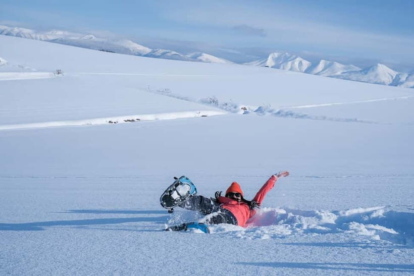 Snowshoeing on a Sparkling Biei Hill & Winter Cafe Time - Why This Tour Offers Great Value