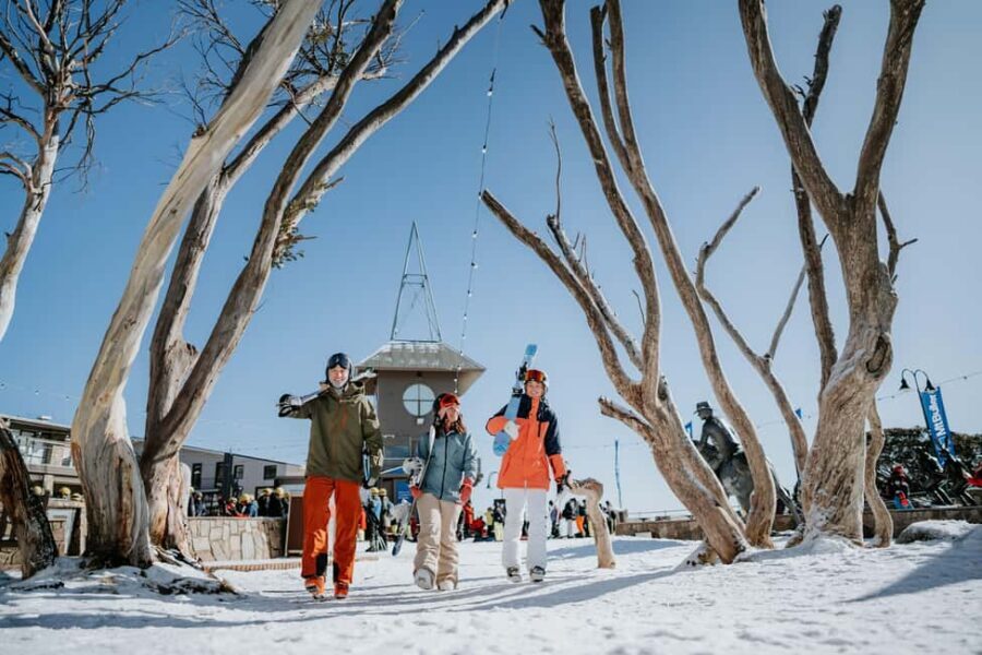 Snowy Escapes: Mount Buller Alpine Adventure - Evaluating the Value