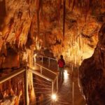 Snowy Mountains NSW Private Tour 3 Days - Pick up & Drop off - The Value of This Tour