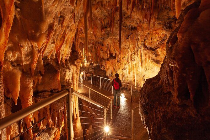 Snowy Mountains NSW Private Tour 3 Days - Pick up & Drop off - The Value of This Tour