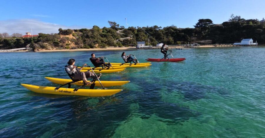 Sorrento, Mornington Peninsula Waterbike Tour - Whats Included and Whats Not
