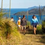 South Molle Island Self Guided Walking Tour - Overview of the South Molle Island Self Guided Walking Tour