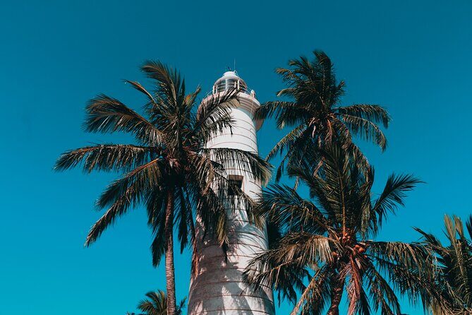 Southern Coast Highlights Tour from Bentota - Practical Details and Value