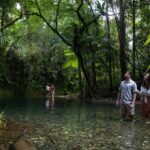 Southern Daintree Explorer Tour - Half Day - Why This Tour Represents Good Value