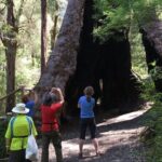Southern Experience 3 Day Tour - Analyzing the Value