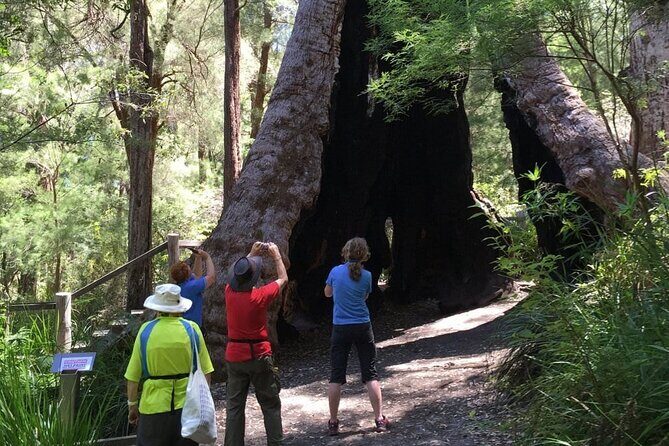 Southern Experience 3 Day Tour - Analyzing the Value
