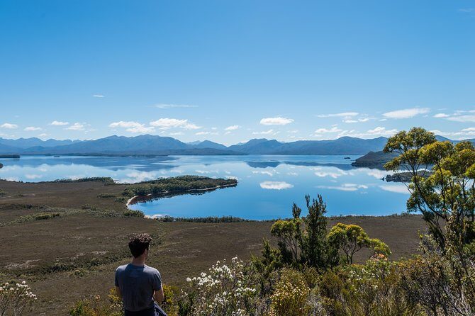 Southwest Tasmania Wilderness Experience: Fly Cruise and Walk Including Lunch - Who Will Love This Tour?
