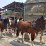 Sovereign Hill & 12 Apostle Private Tour  Up to 14 pax - Exploring Sovereign Hill: A Gold Rush Time Capsule