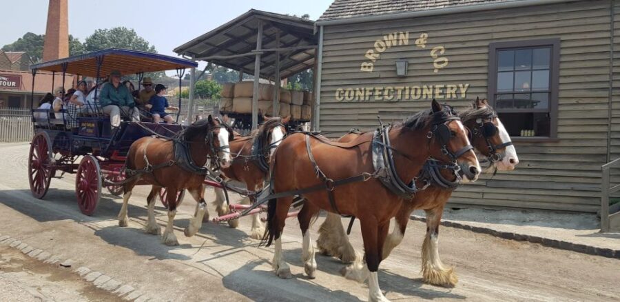 Sovereign Hill & 12 Apostle Private Tour  Up to 14 pax - Exploring Sovereign Hill: A Gold Rush Time Capsule