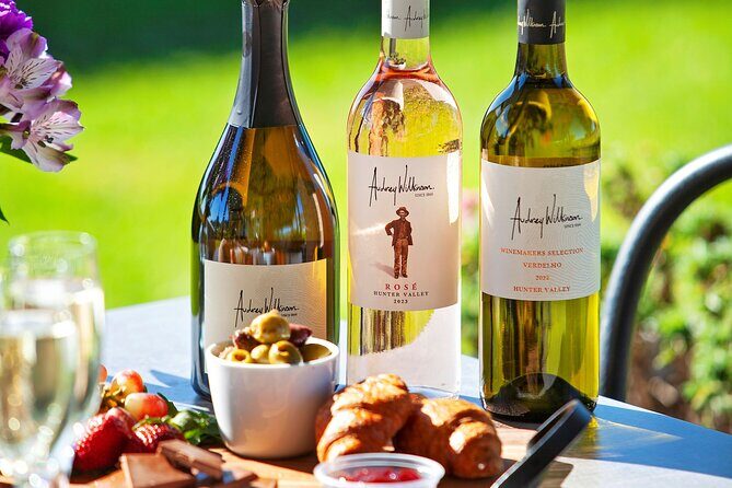 Sparkling Brunch in the Vines - Who Should Consider This Tour?