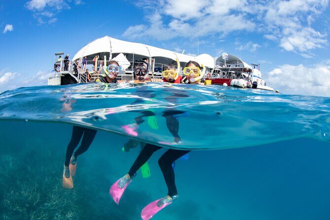 Special Offer: Great Barrier Reef & Green Island Day Tour - What Travelers Say & Why It Matters