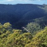 Spring Brook National Park Driving Tour with an APP - The Itinerary: What You Can Expect
