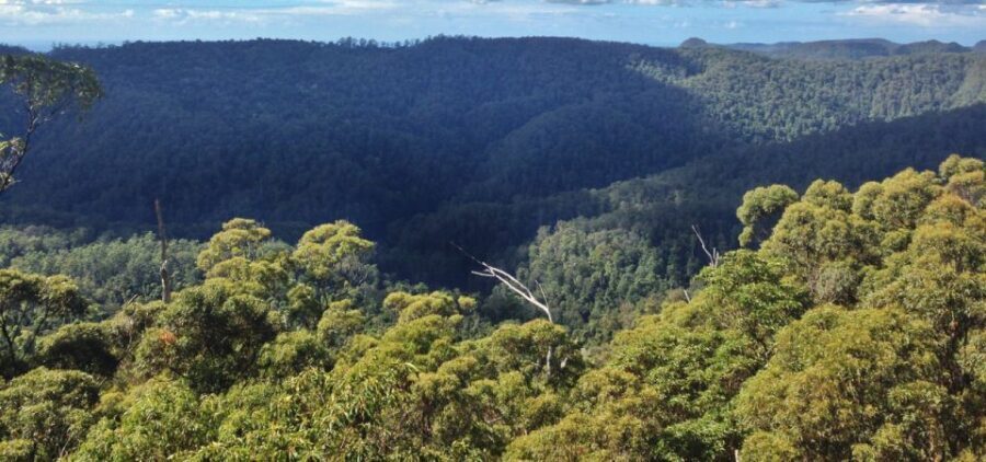 Spring Brook National Park Driving Tour with an APP - The Itinerary: What You Can Expect