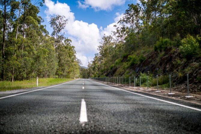 Spring Brook National Park Self Guided Driving Tour - Discovering Springbrook National Park: What the Tour Offers
