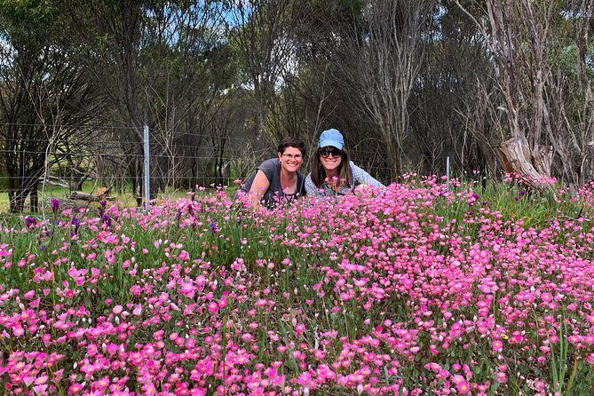 Spring Wildflower Private Day Tours - Who Will Love This Tour?