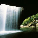 Springbrook Waterfalls & Natural Bridge Tour from Gold Coast - Who Would Love This Tour?