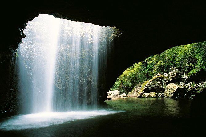 Springbrook Waterfalls & Natural Bridge Tour from Gold Coast - Who Would Love This Tour?
