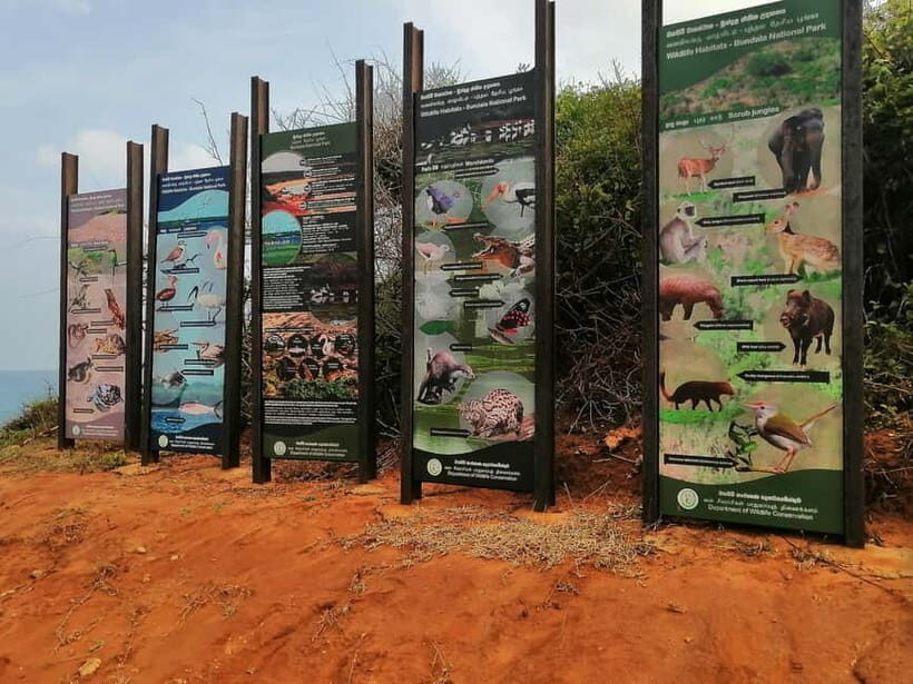 SRI LANKA :11Night 12Days Tour: TRAIL OF TRANQUILITY. - Day 2-3: From Negombo to Sigiriya via Dambulla