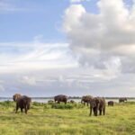 Sri Lanka 14-Day Journey: Culture, Nature & Adventure - Transportation & Group Size