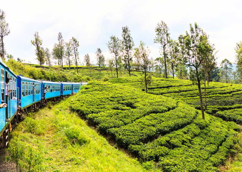 Sri Lanka 5-Day Private Country Side Tour Car, Hotels, Food - Analyzing the Value