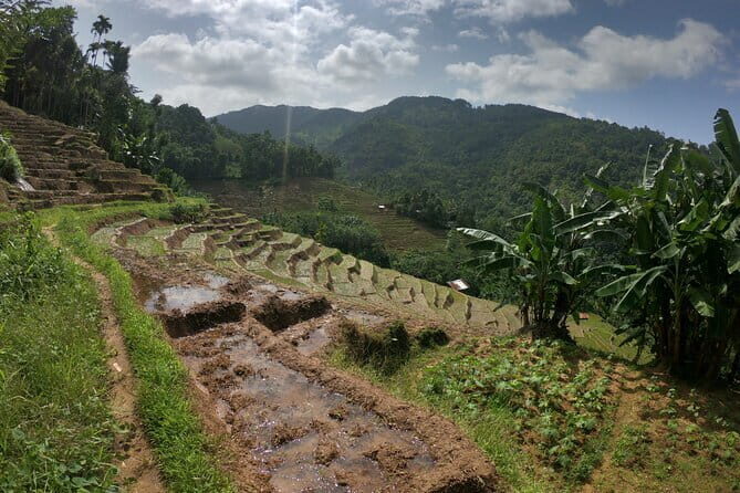 Sri Lanka All Inclusive Day Tour: Hiking & Activities Farmers Village Kandy - What You’ll Experience: Detailed Breakdown of the Itinerary