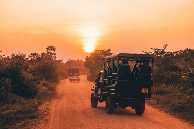Sri Lanka budget tour package 8 days with driver,vehicle and H/B accommodations. - The Transport, Accommodation, and Overall Value