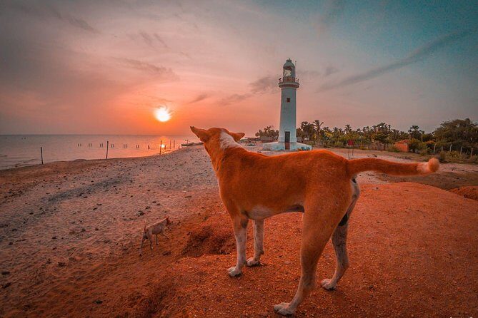 Sri Lanka North Tour - Authentic Travel in Sri Lanka’s North