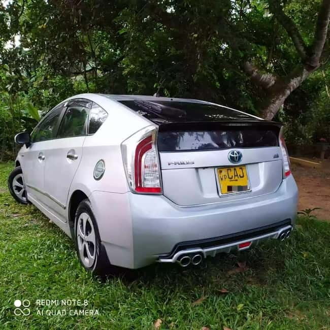 Srilanka one day & multi day Tours - Car Rental Service - What to Expect on Your Day or Multi-Day Tour