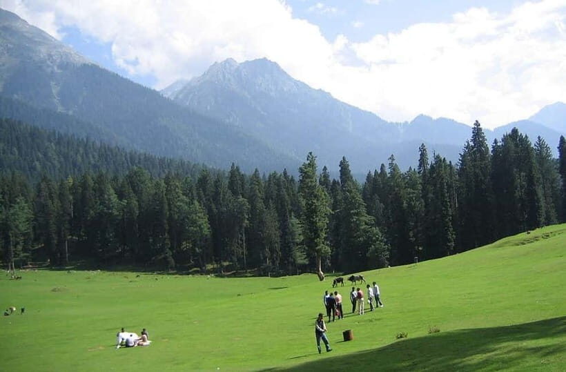 Srinagar: Doodhpathri Day Trip with Transfers - Authentic Experiences and Real Traveler Impressions