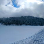 Srinagar: Gulmarg Day Tour - Explore the Meadow of Flowers - Final Thoughts: Who Will Love This Tour?